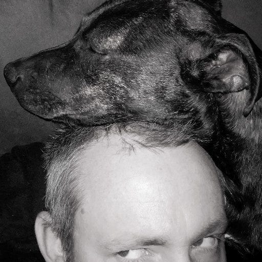 Nathan M Rowen – Medium