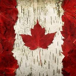 Canadian Bullroar – Medium