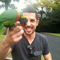 David Meier – Medium