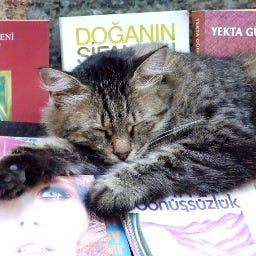 Perin Gurel – Medium