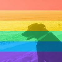Nicki Cooper – Medium