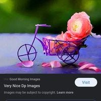 Shafra Shafra – Medium