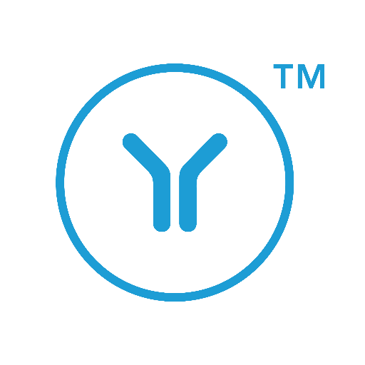 Yoco – Medium