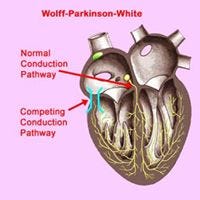 Jaclyn Connell – Medium