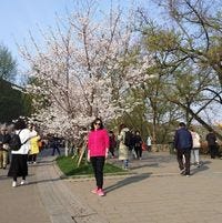 Oonoo Ono – Medium