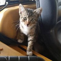 Angela Angie Nimmo Wilson – Medium