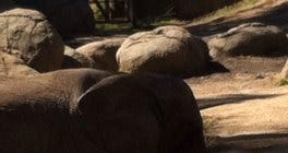 Marc Lewis – Medium