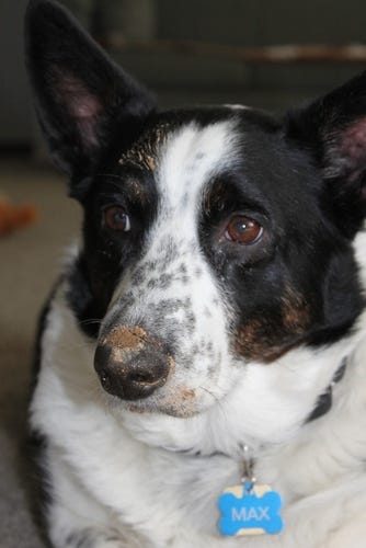 Kim Lathrop – Medium