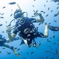 Michael Aaron Wilson – Medium