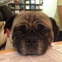 François Venne – Medium