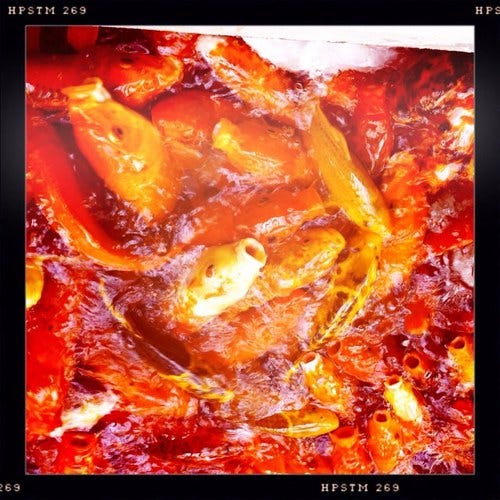 Bryan Delancey – Medium