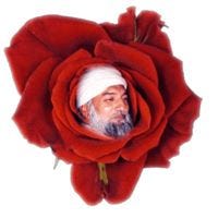 Samreen Ayaz Gohar – Medium