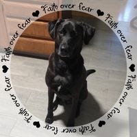 Felicia Pruitt – Medium