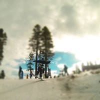 Tyler Gough – Medium