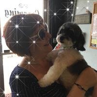 Anne Marie Frost on Medium curated some lists