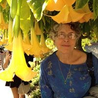 Joy McConnell – Medium