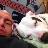 Daniel Henrickson – Medium