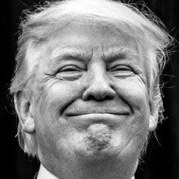Dummy Donny – Medium