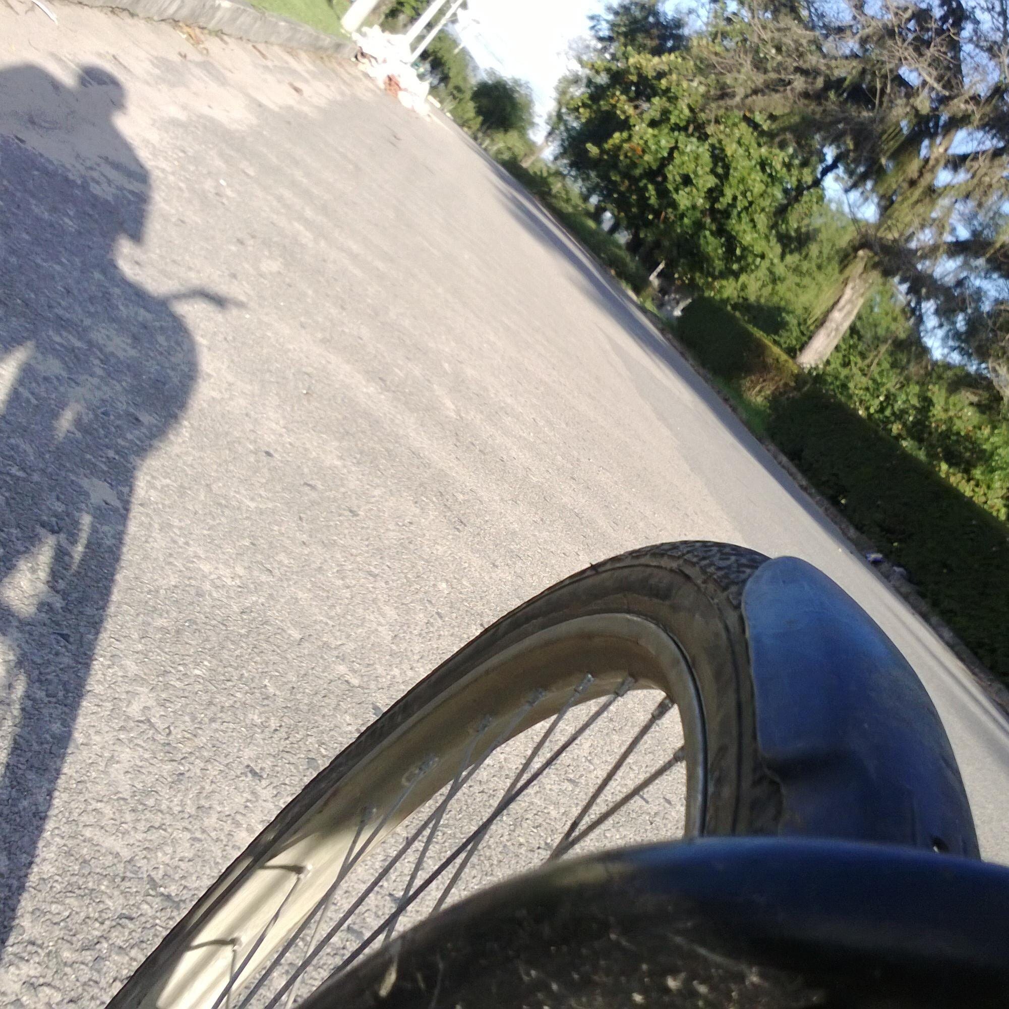 José Manolo – Medium