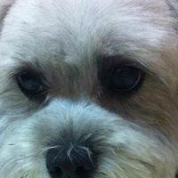 Jeffery Yang Jeffery – Medium