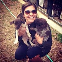 Carolyn Elliott Chen – Medium