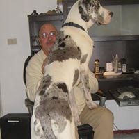 David Steffes – Medium