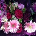 About – Alice Rivers – Medium