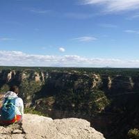 Sarah Hay – Medium