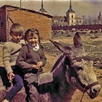 Leslie Crofford – Medium