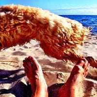 Jacob Gustafson – Medium