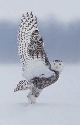 Vincent Jiao – Medium