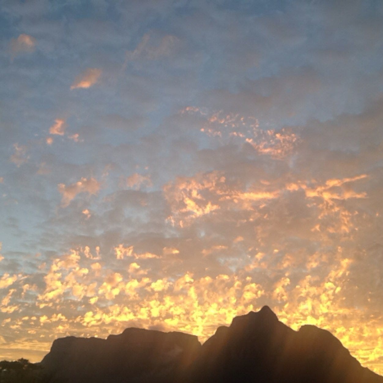 Jonathan Faull – Medium