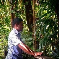 The Scriber – Medium