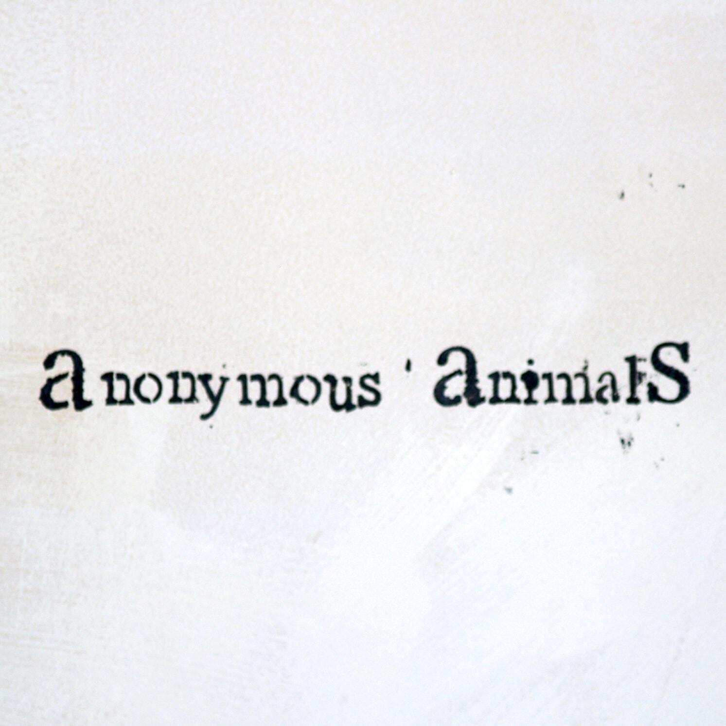Anonymous Animals – Medium