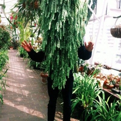 Ty Stanton-Jones – Medium