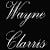 wayne clarris – Medium