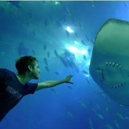 Jeremy Cohen hoffing – Medium