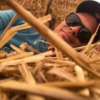 Daniel Gerber – Medium