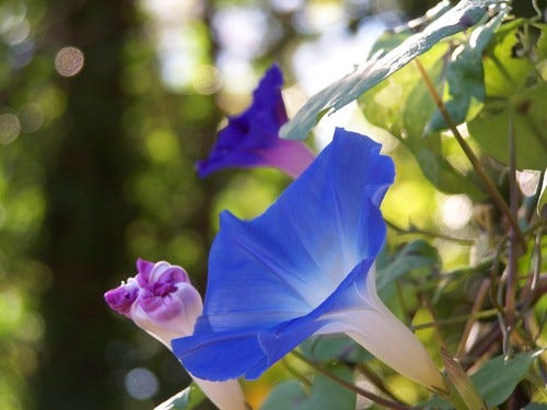 About – Kelly Fetty – Medium