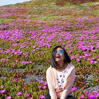 Curry (Jialin) Du – Medium