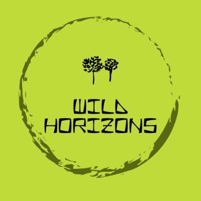 Wild Horizons – Medium