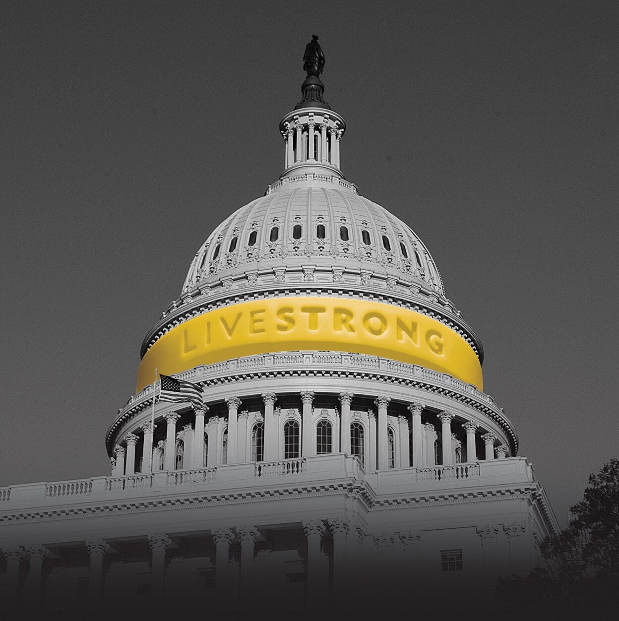 LIVESTRONG Advocacy – Medium