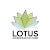 Lotus Chiropractic Care – Medium