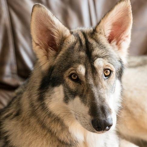 Felicity Berry – Medium