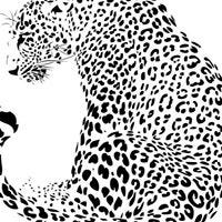 Greg Besson – Medium