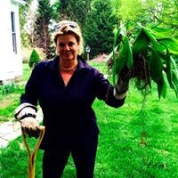 Deborah Barrow – Medium