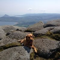 Alan Paxton – Medium