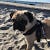 Carissa Thomas – Medium