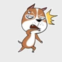 M_catt – Medium