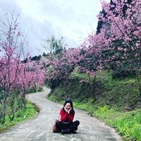 Alicia Hsu – Medium